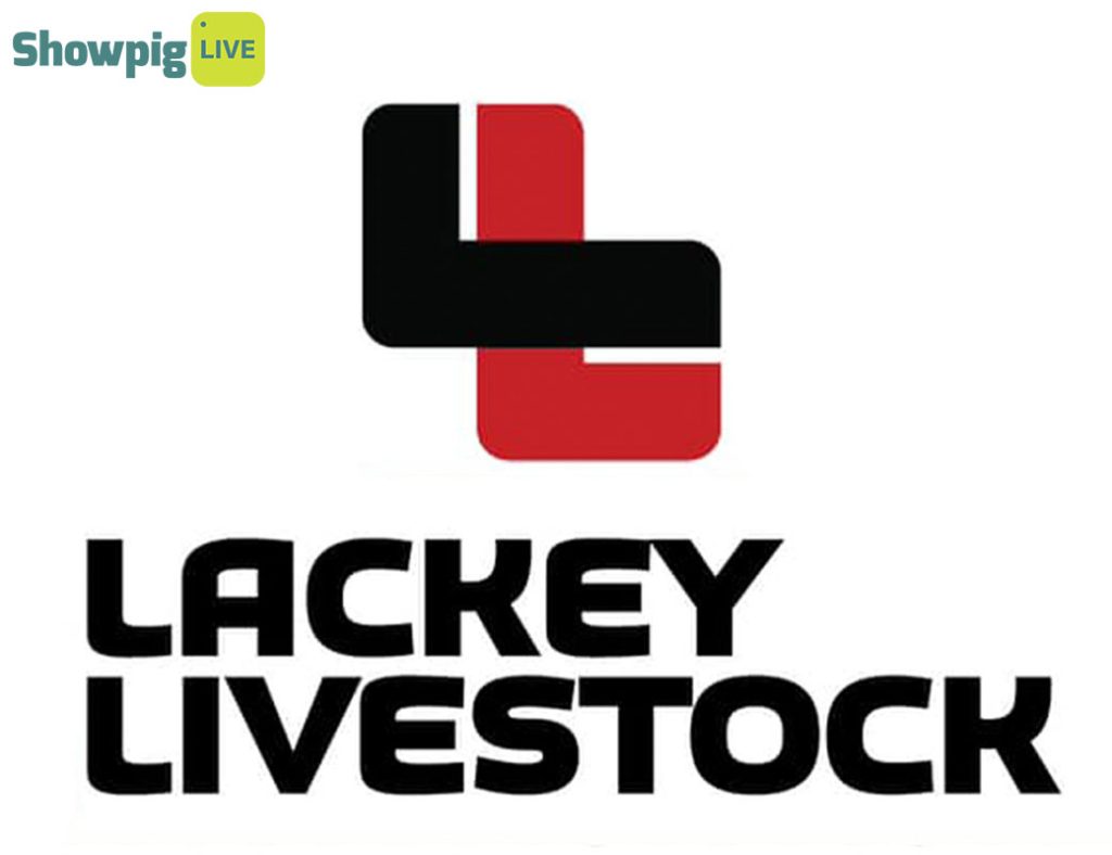 Lackey Livestock Customer Appreciation Sale | Sep-13 - Kennedy Ventures